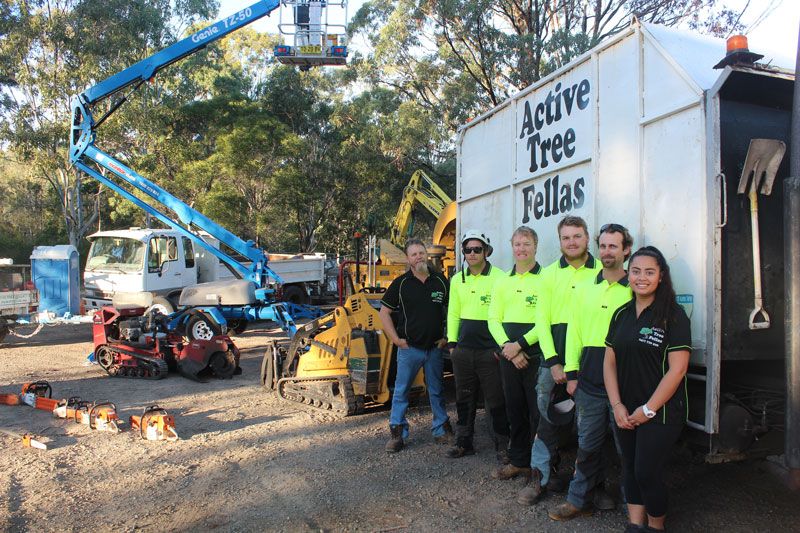 Active Tree Fellas | Arborists in Hervey Bay
