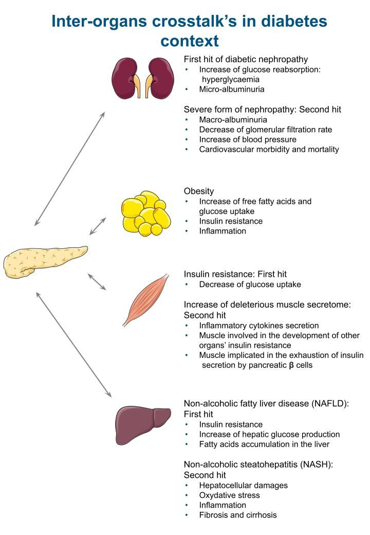 Diabetes research center, France | CeeD