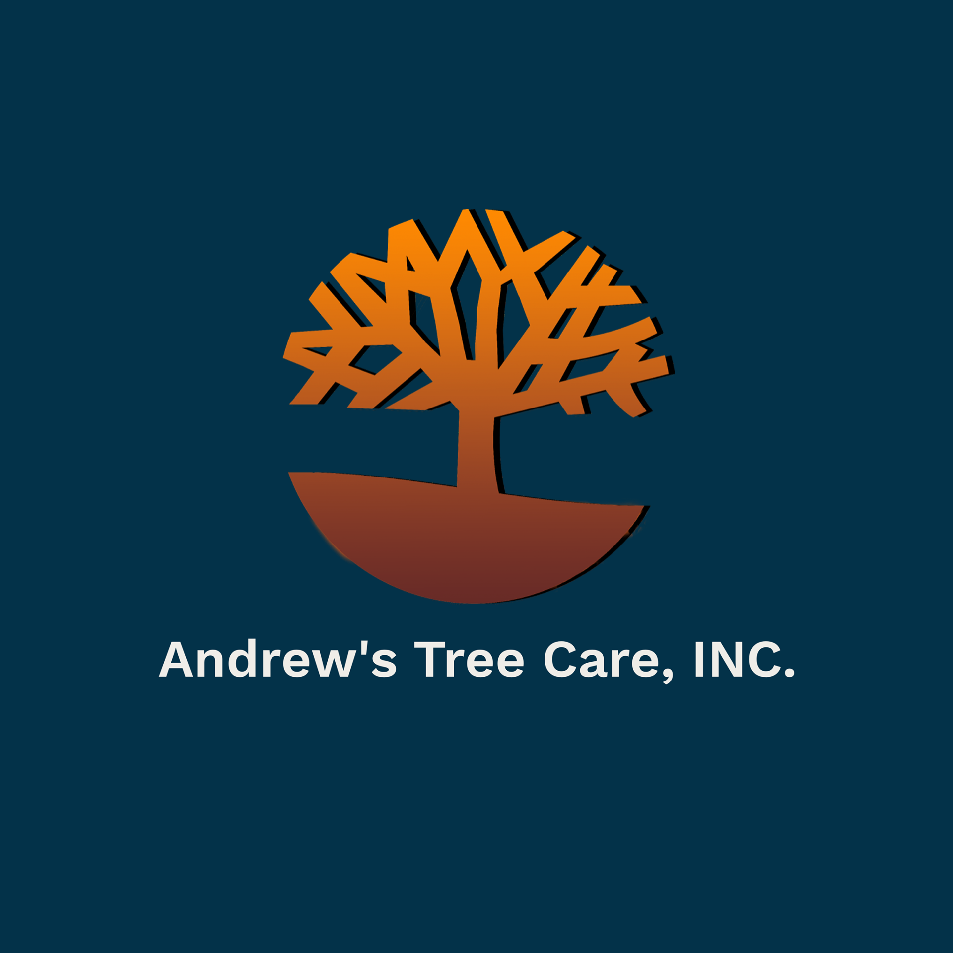Tree Trimming | Dunedin, FL | Andrew's Tree Care