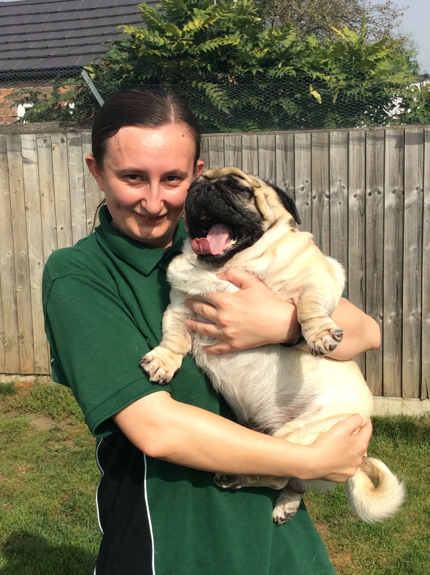 Pet care services | Longcroft Boarding Kennels & Cattery