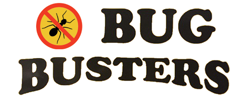 Meet the Team | Bug Busters Termite & Pest Control | Laredo, TX