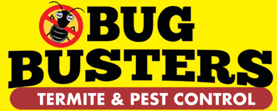 Spider Control | Laredo, TX | Bug Busters Termite & Pest Control