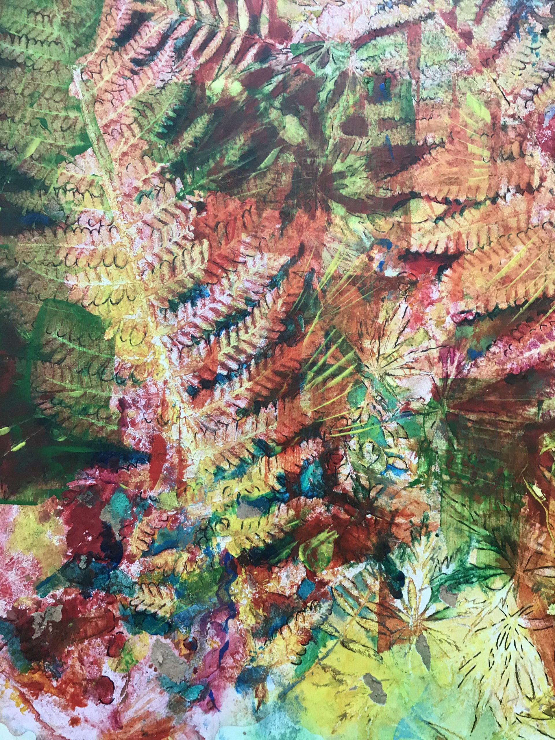 David Booth MRSS Paintings