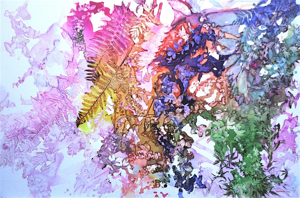 David Booth MRSS Paintings