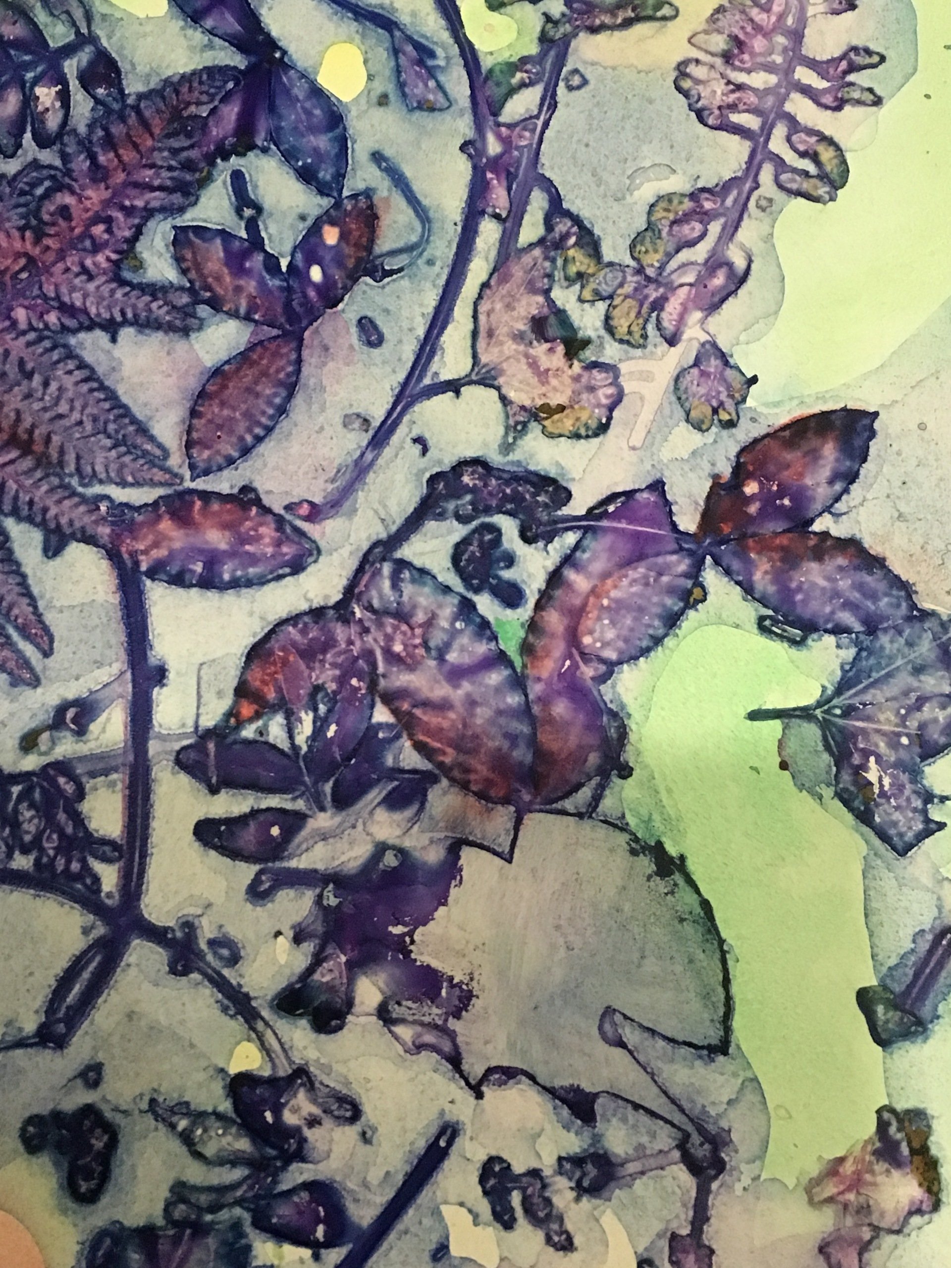 David Booth MRSS Paintings