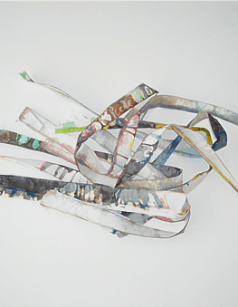 David Booth MRSS Fine Artist Home