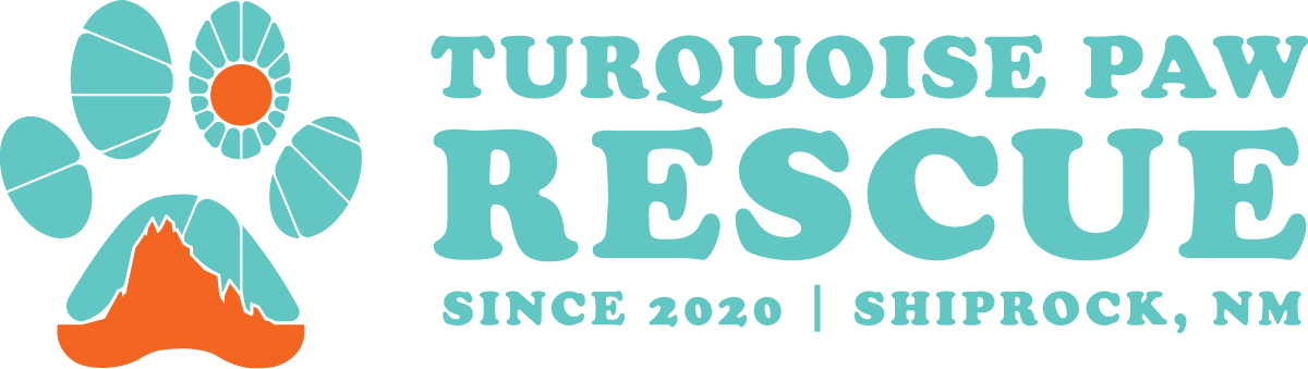 Turquoise Paw Rescue | Dog Rescue and Foster Dog Program in Shiprock NM