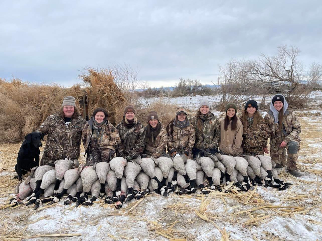 Wyoming Goose Hunting - Guide & Outfitter for Goose Hunts