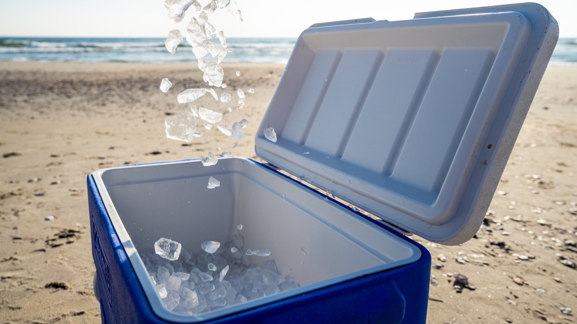 Your #1 Beach Setup and Equipment Rental in Corolla