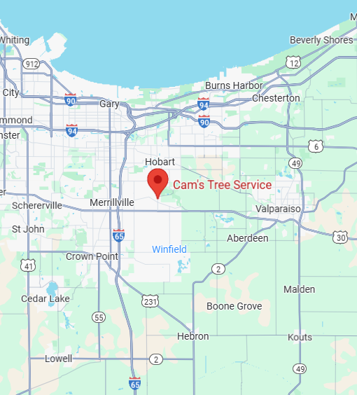 Northwest Indiana Tree Removal | Cam's Tree Service