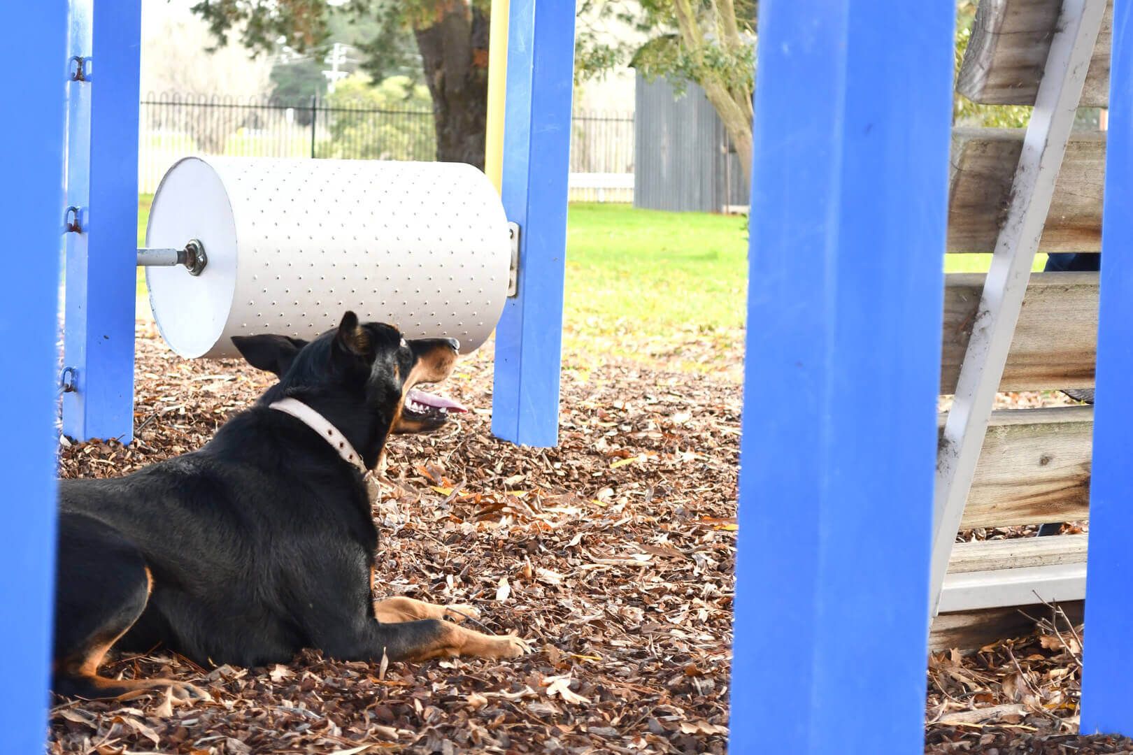 About Trawalla Primary School