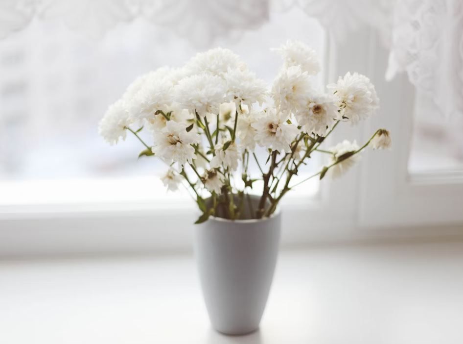 Cremation services in Phoenix, AZ with dignity and care