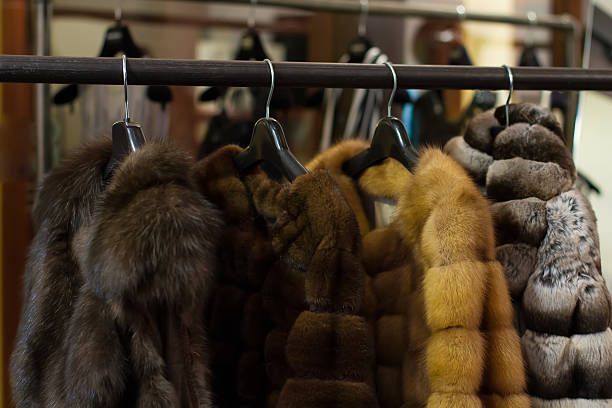 Luxury Fur Coat Preservation | Atlanta, GA | Atlanta Furs