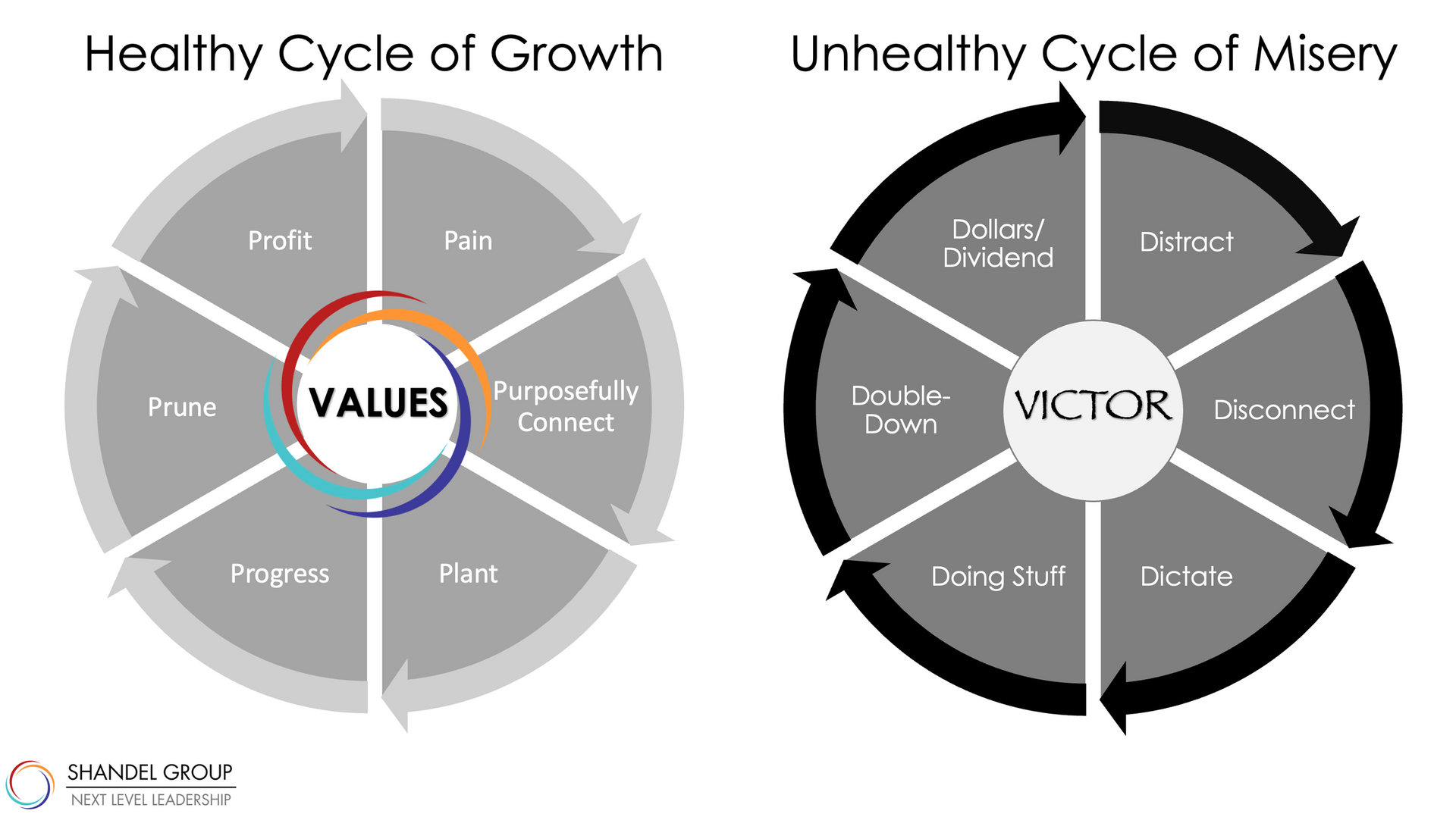 Sustainable Growth Overview | Shandel Group