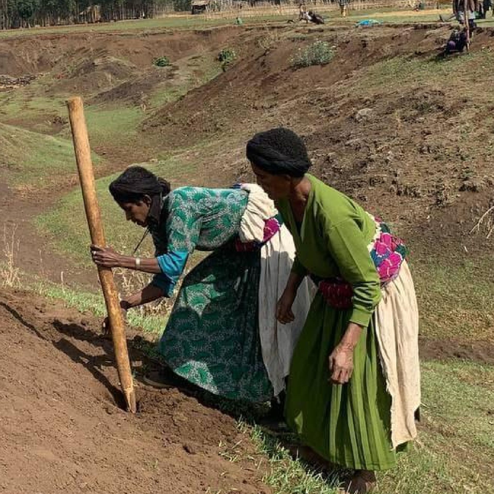 Home [www.ea-foundation.org.uk]