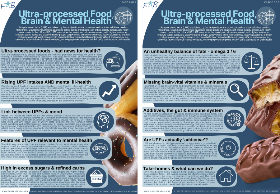 Food Addiction - a 2024 update