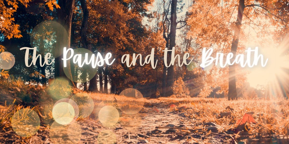 Learn a fall ritual and breathwork to ease into Fall energy