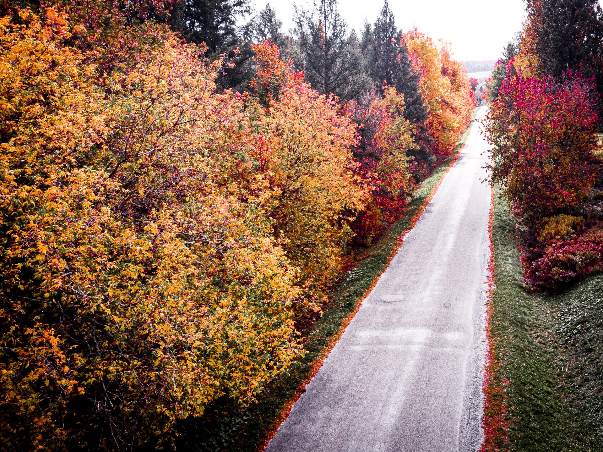 Mental Health Treatment | Québec | Dunham House