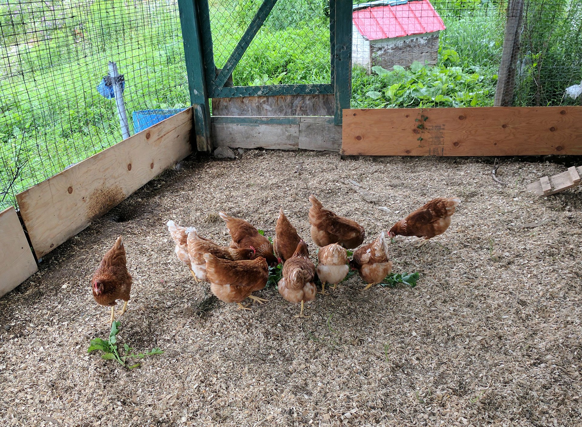 Mental Health Treatment | Québec | Dunham House