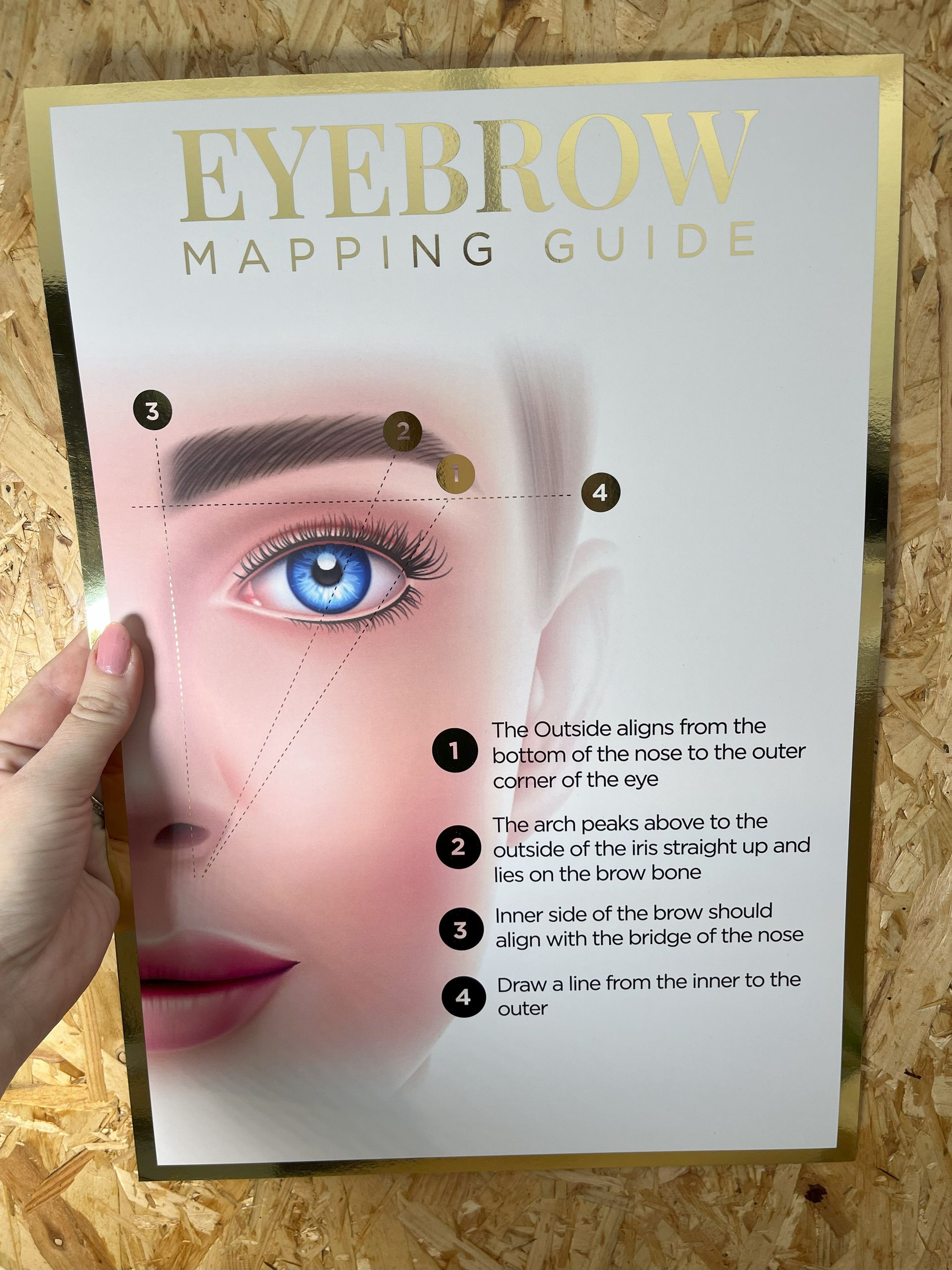 A3 Gold Foil Anatomy Poster - Anatomy of the eye