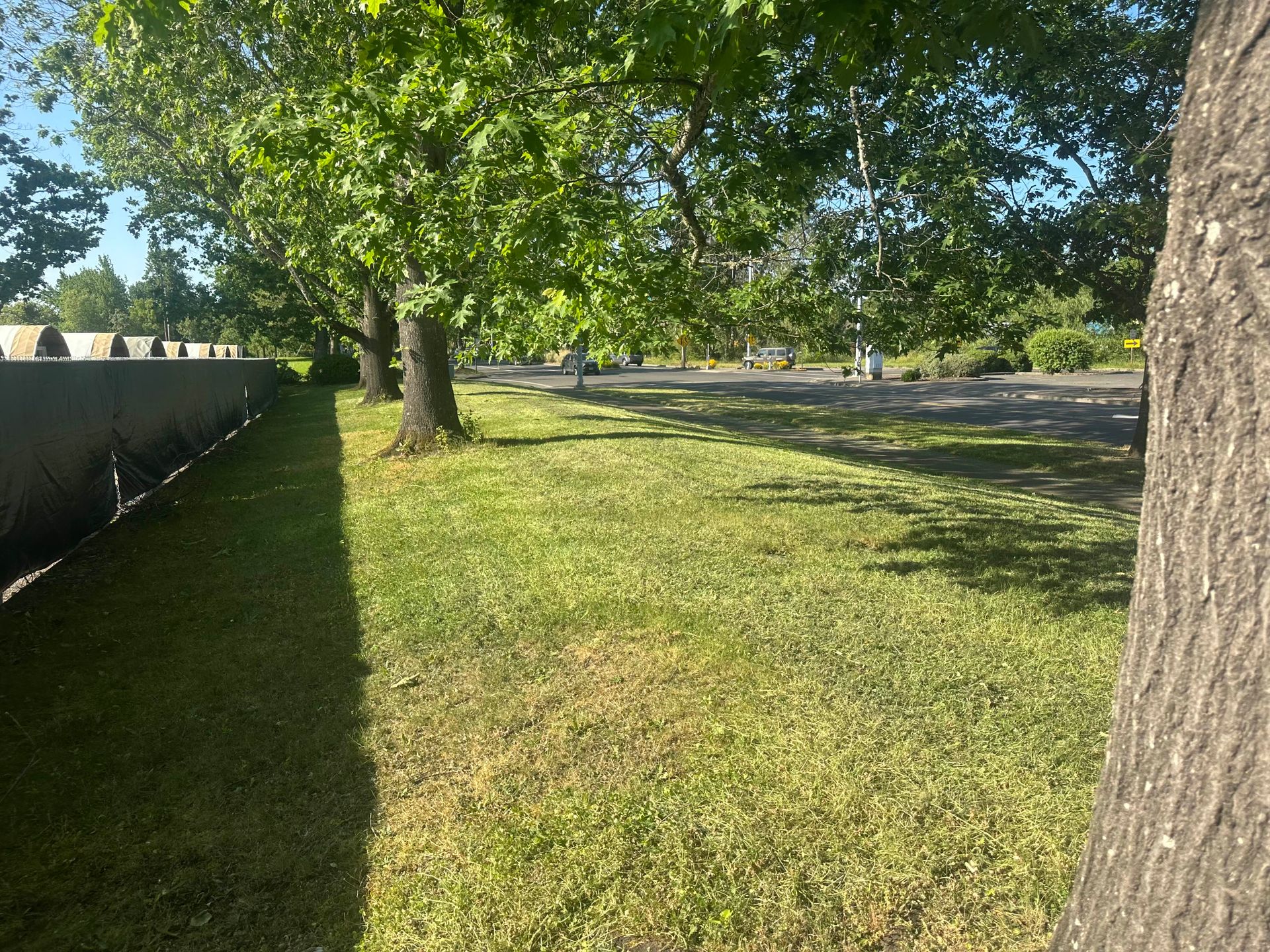 CSS is Now Operating the Nightingale Safe Spot