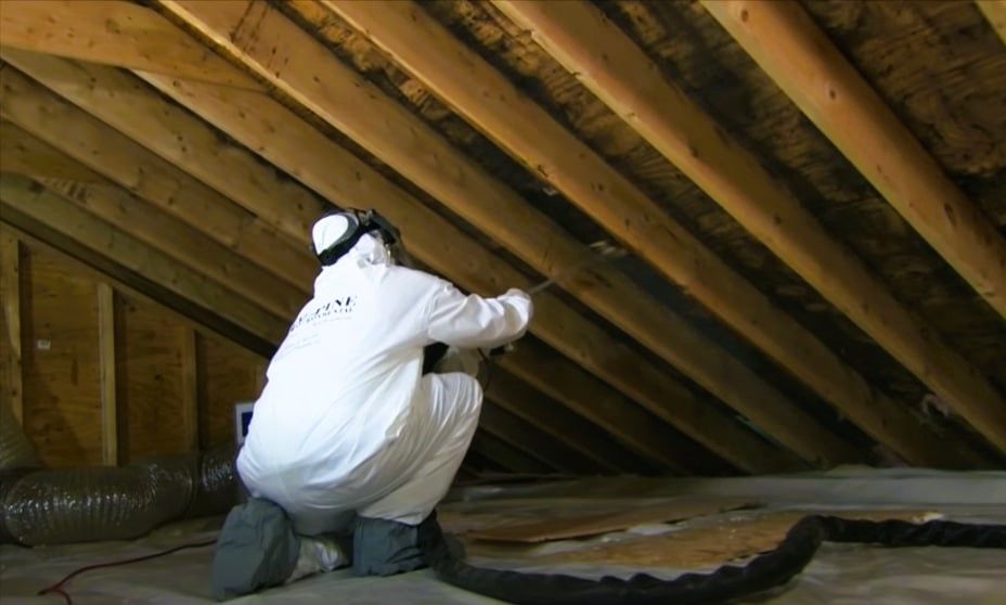 Detecting and Preventing Mold Growth in Your Attic
