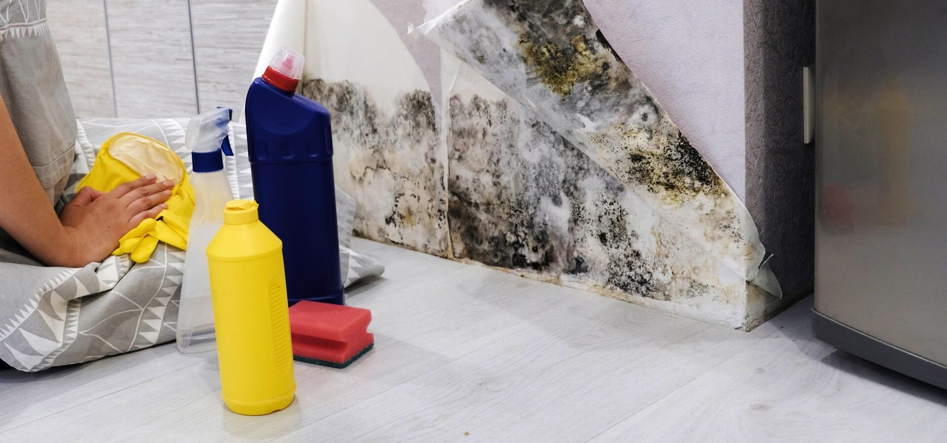 How to Stop Mold Growth After Your Home Floods