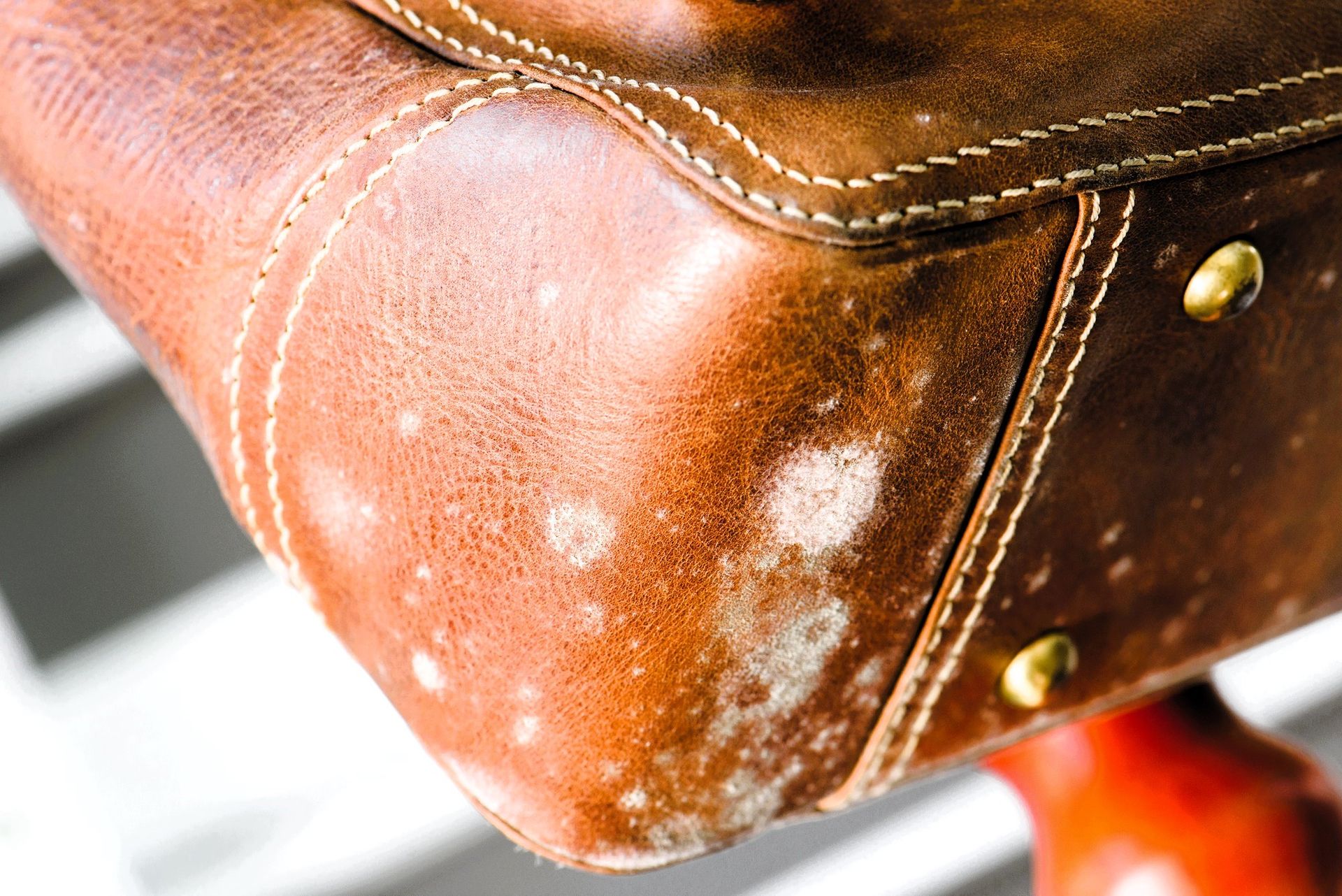 How To Remove Mold From Leather