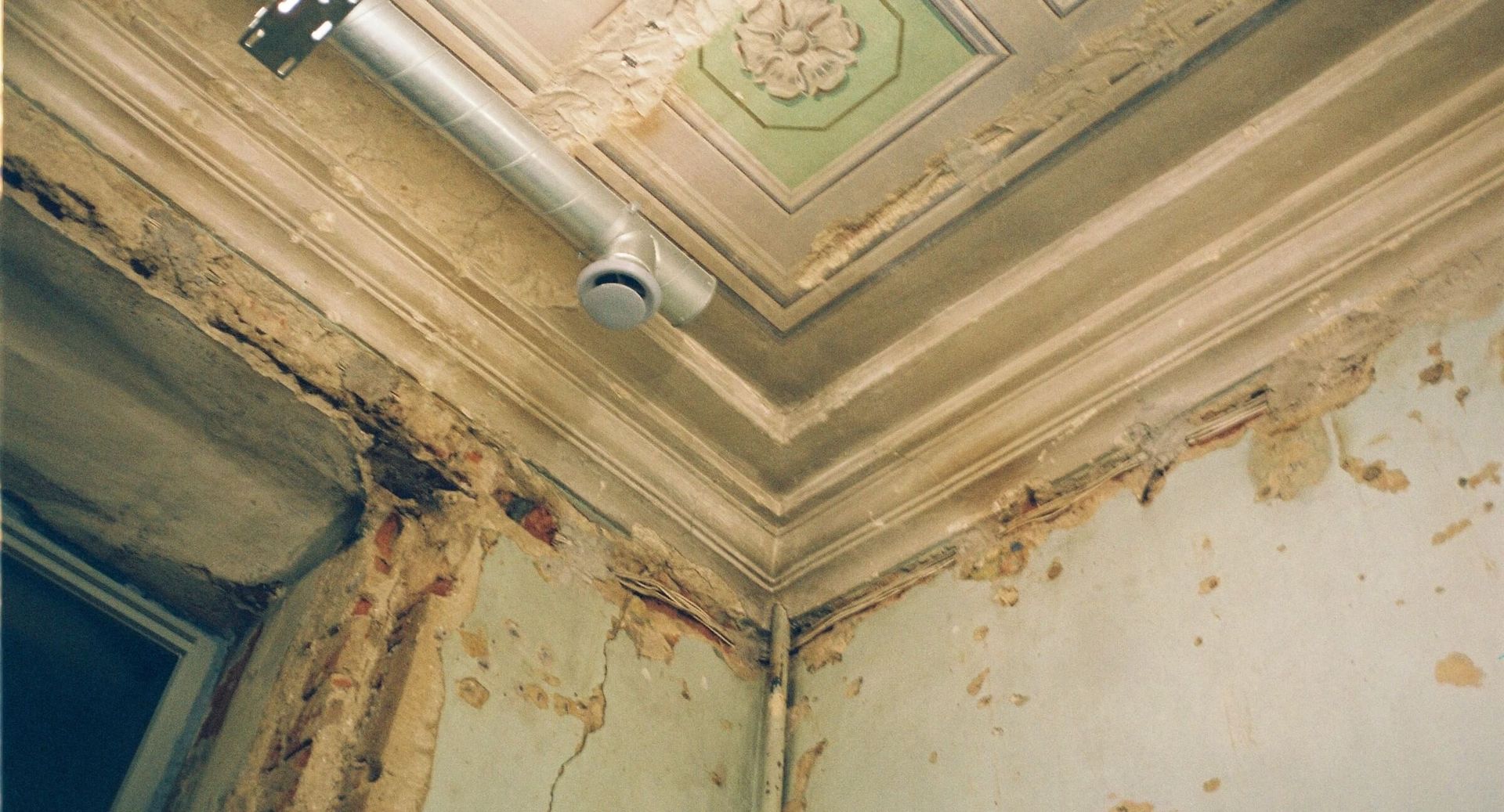 Top 3 Toxic Molds You Need to Watch Out For