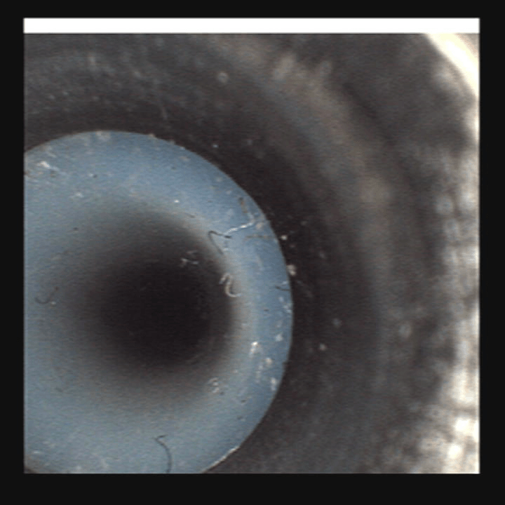 EndoInspect | Lumen Inspection BoreScope