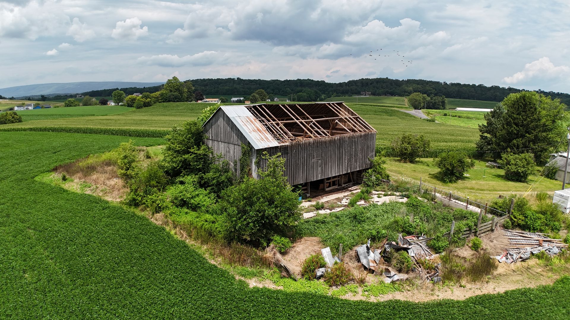 Bay & Bent | Various Locations