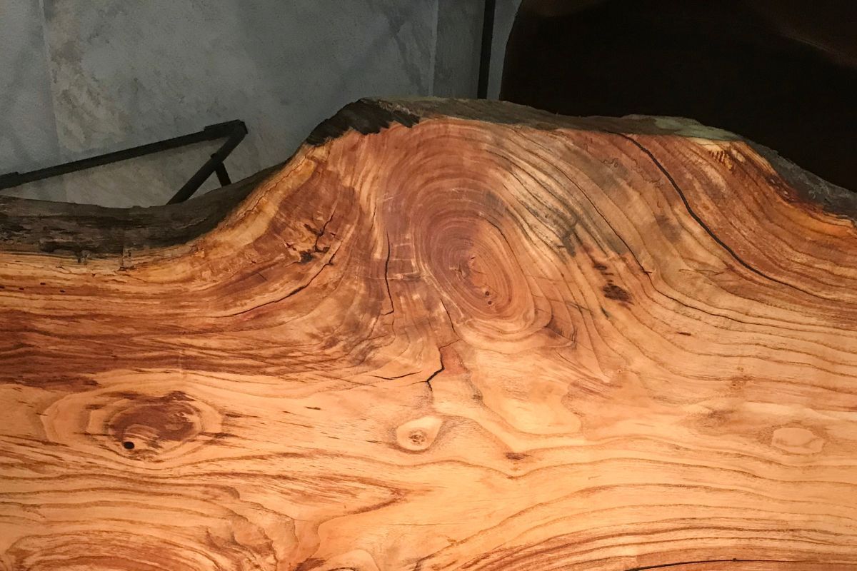 Live Edge Wood Projects Guide | Bay & Bent | USA