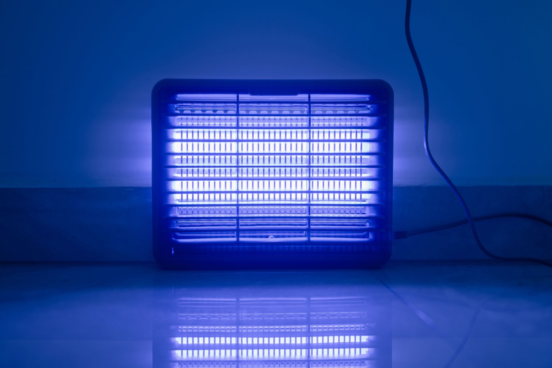 Pest Control Services – Oakland County, MI, MI – Maple Lane Pest