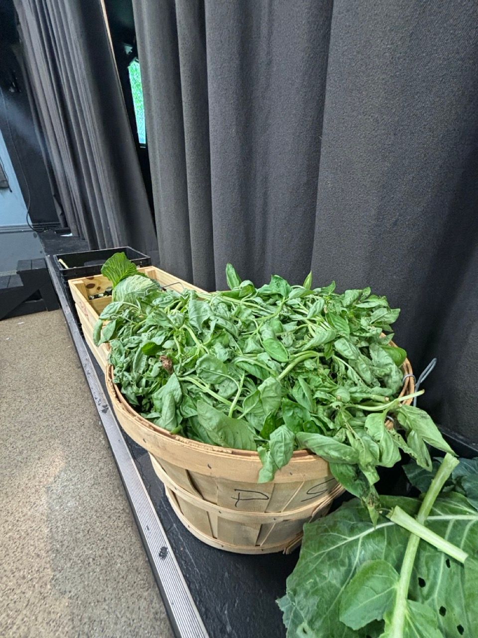 Inform, Infuse, Inspire, Instruct | PROJECT SWEETIE PIE