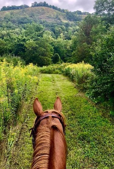 Exploring Horse Camping, Lodging, and Riding at Outback Ranch in ...