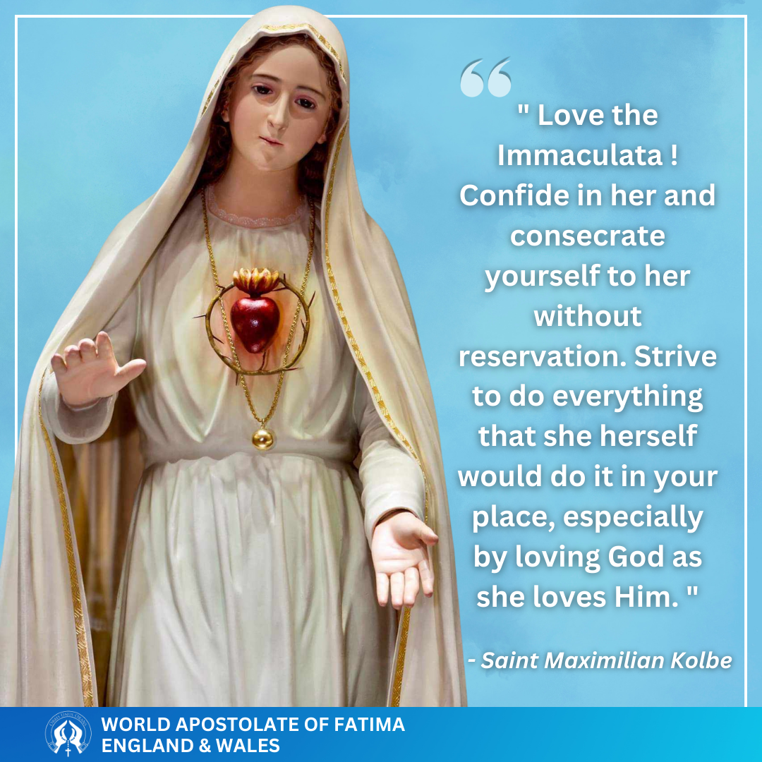 Day 11 of 33 Day Consecration: Universal Mission Through Marian ...