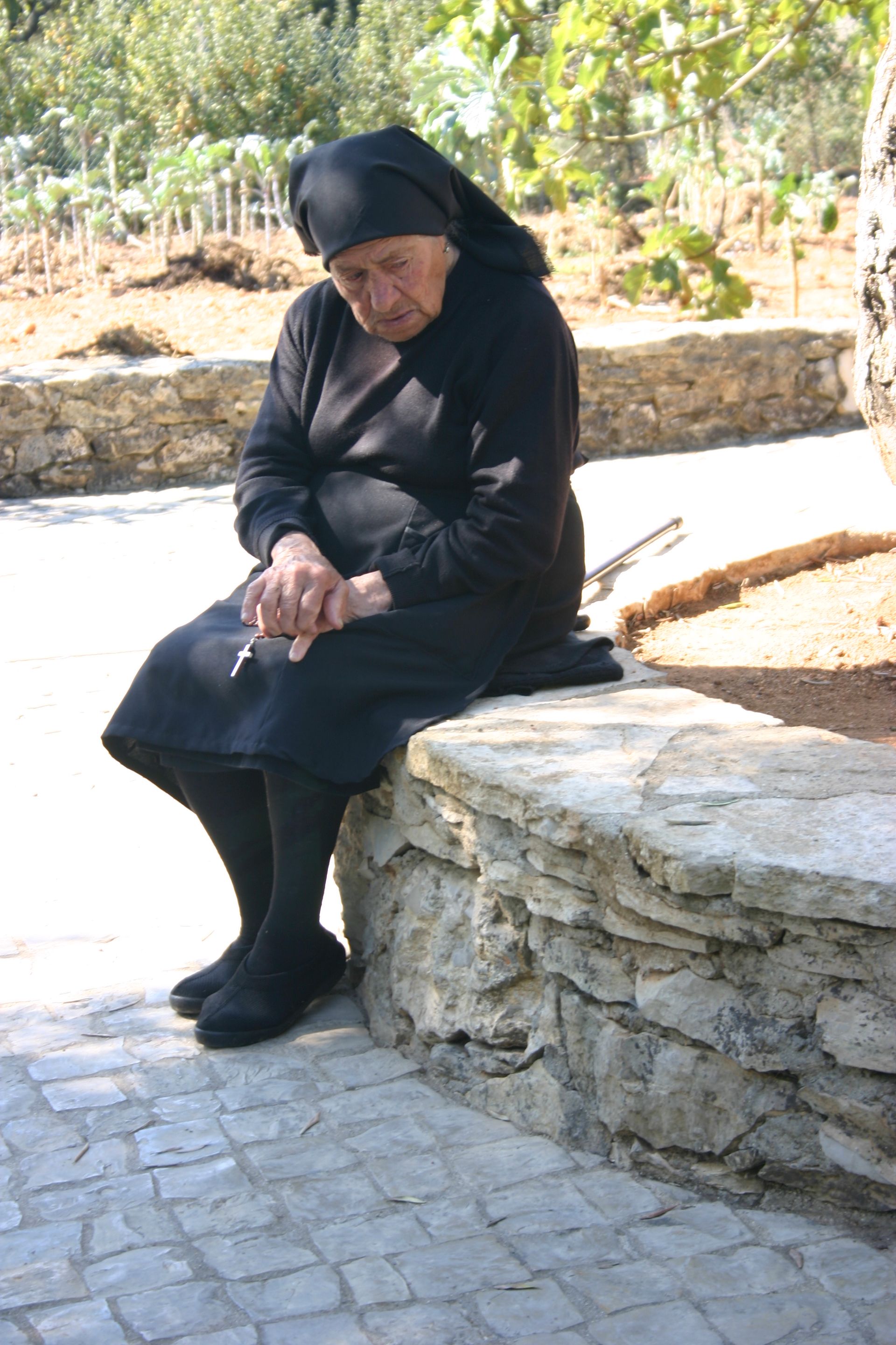 Fatima History | World Apostolate of Fatima