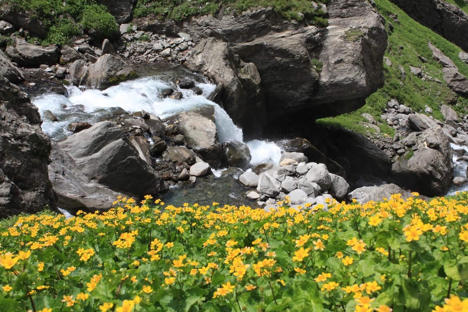 Hampta pass Trekking