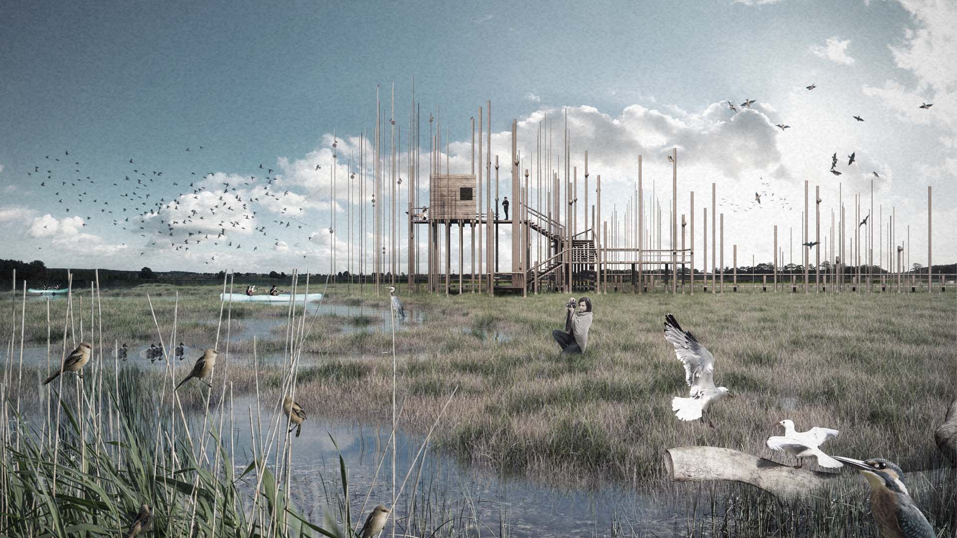 Bird Observatory at Pape National Park | ICONICO