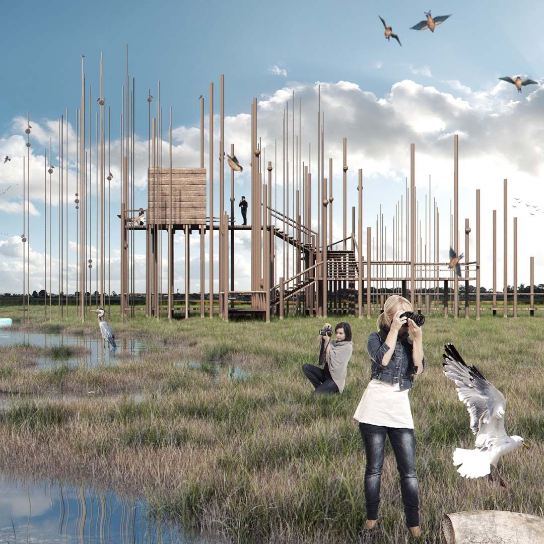 Bird Observatory at Pape National Park | ICONICO
