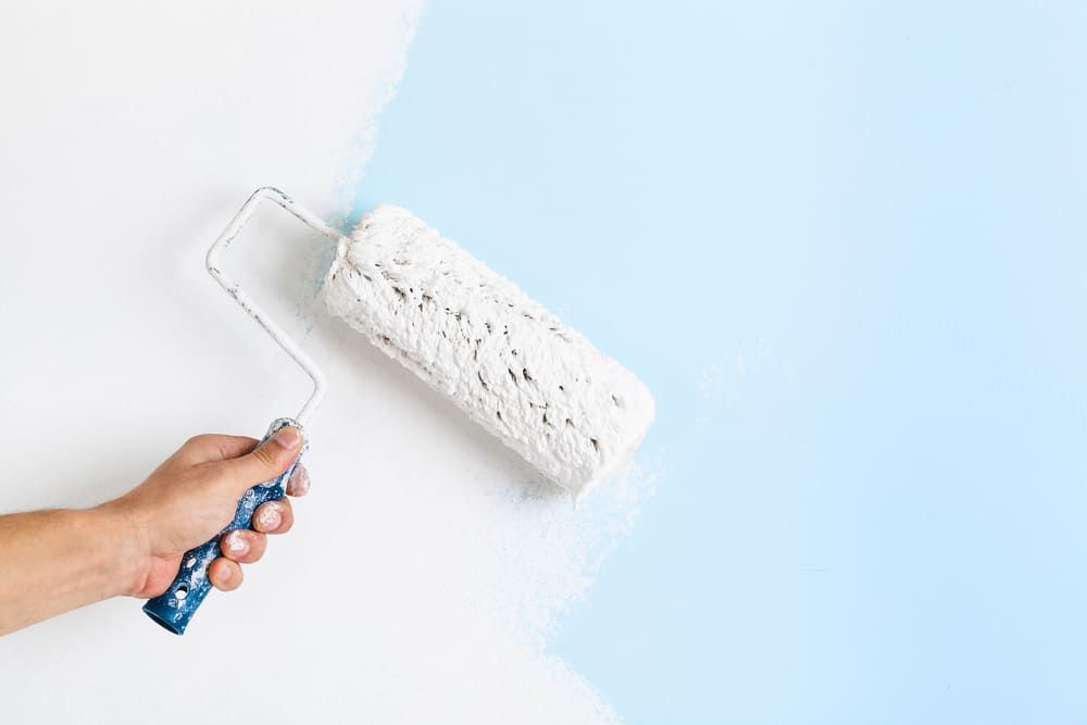 Contact Us | Ballina Painting Service