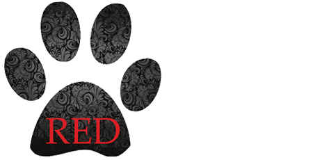 Red Ruff Inn Doggie Daycare: Happy Pets, Happy People