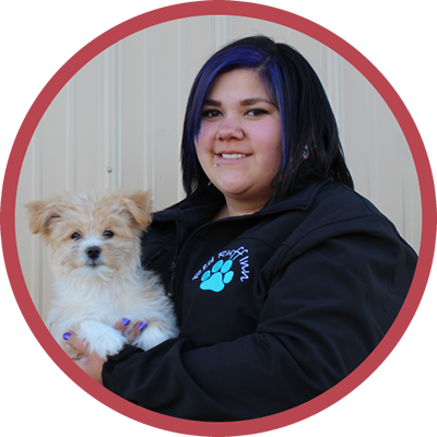 About Us | Red Ruff Inn Doggie Daycare