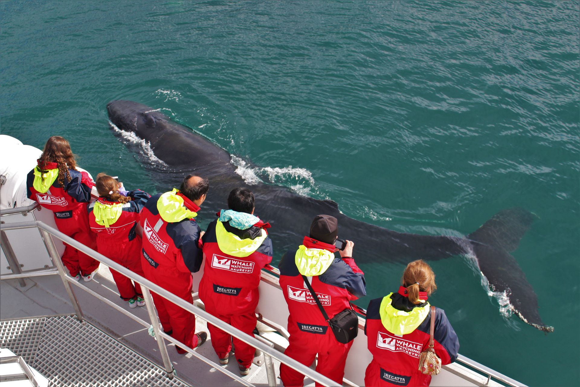 Whales & Raft