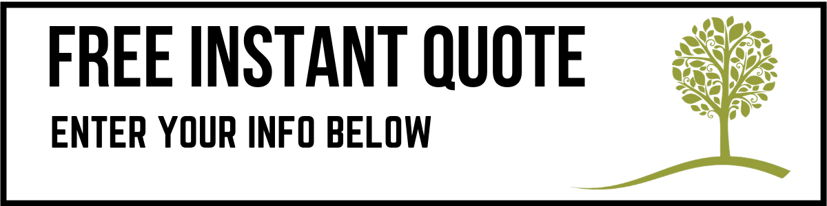 Tree Removal | Tree Care Service | Burlington | Milton | Oakville ON