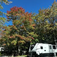 Contact Timberland Acres RV Park | Timberland Acres RV Park