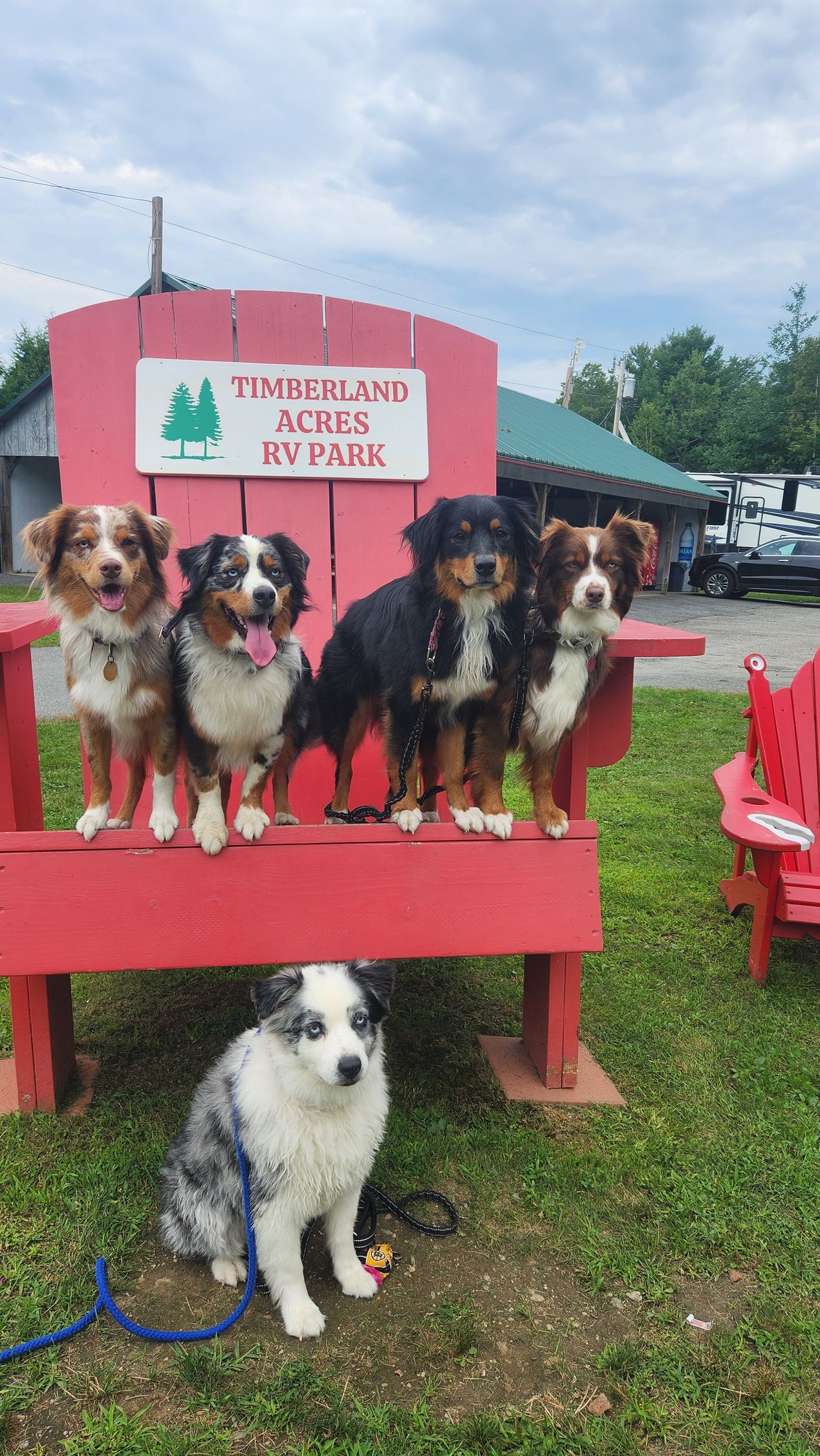 RV Park Amenities near Acadia National Park | Timberland Acres RV Park