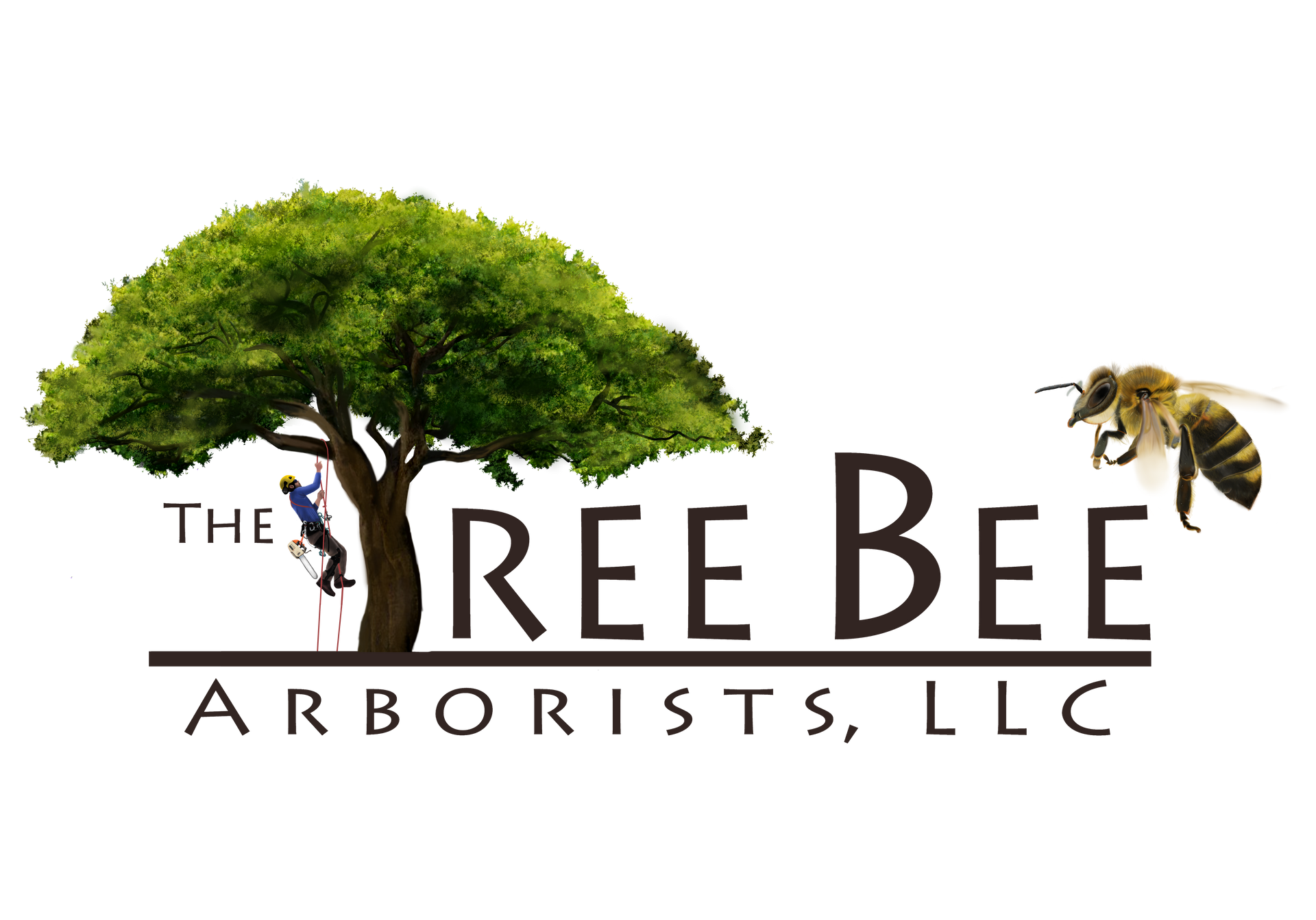 Winter Tree Protection: How to Keep Your Trees Safe Through Harsh Weather