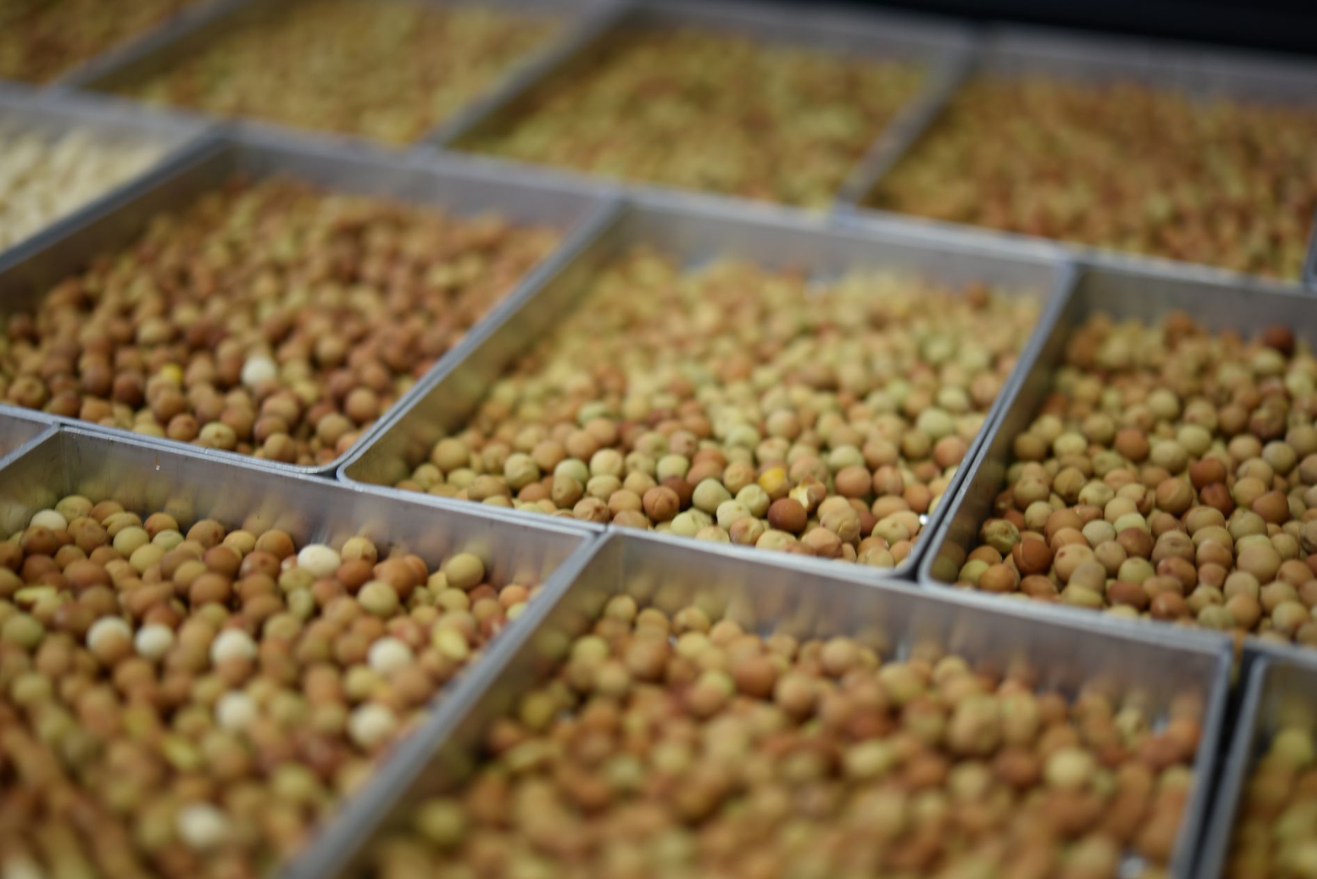 Projects | Pulse Grain Society of Australia Inc