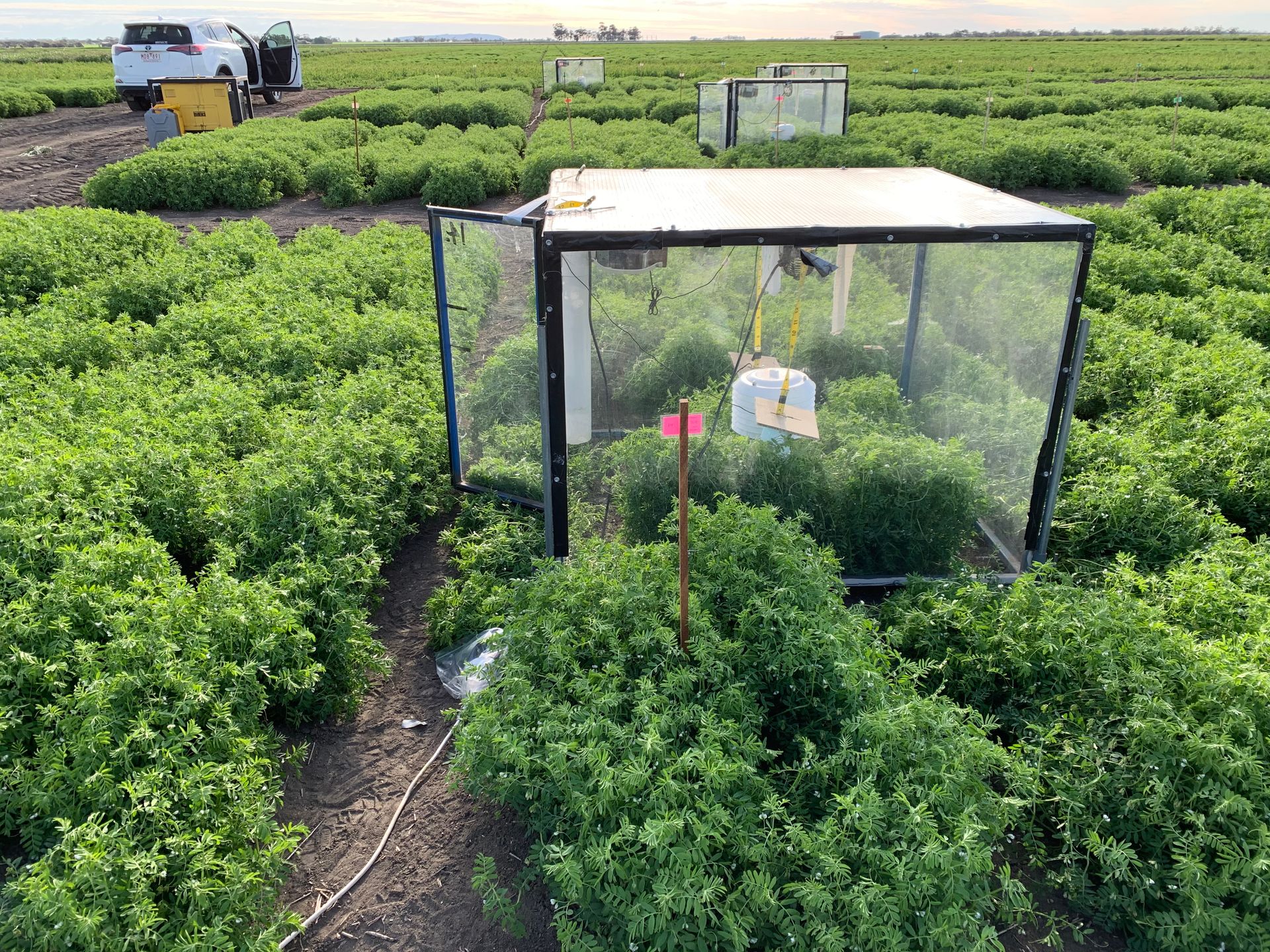 Webinars | Pulse Grain Society of Australia Inc